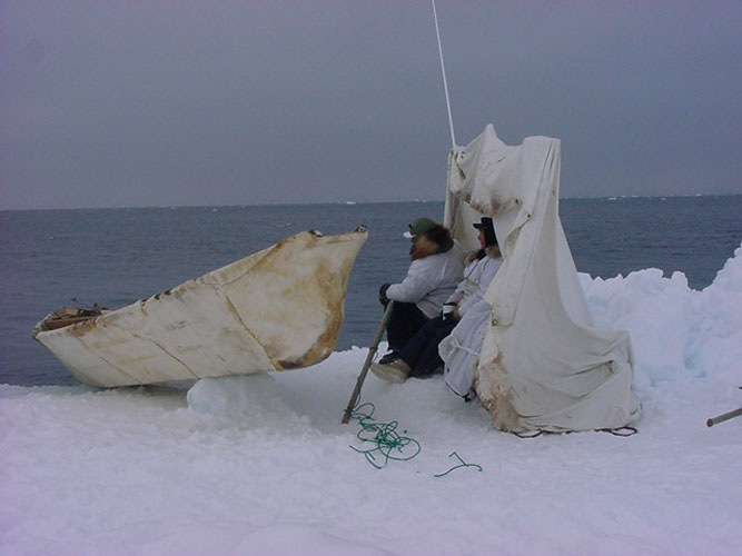 NativeTech with the Inupiat
